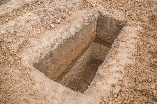 Burying the Lede-r, | Napier In Frame